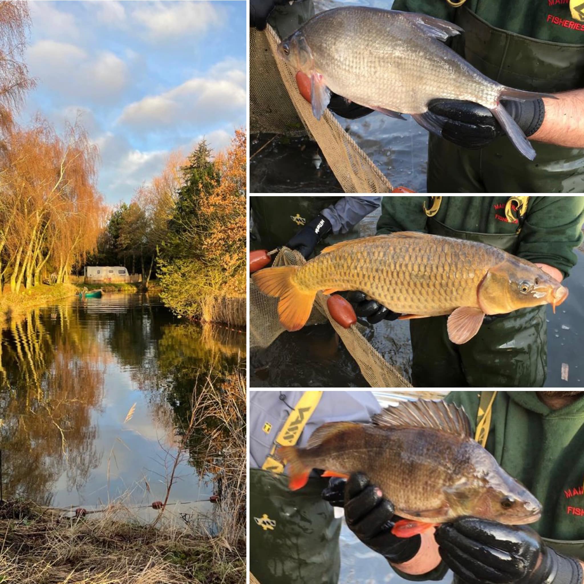 Private Fishing Lake – Windmill Farm Caravan Park